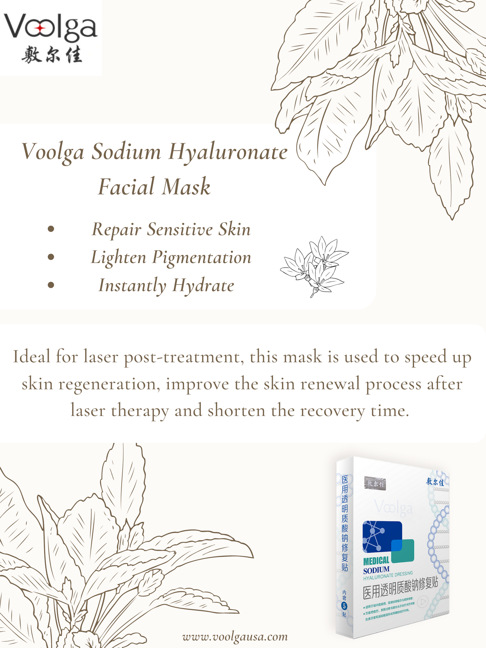 Voolga Skin Care Official North America Site – Voolga Official Store